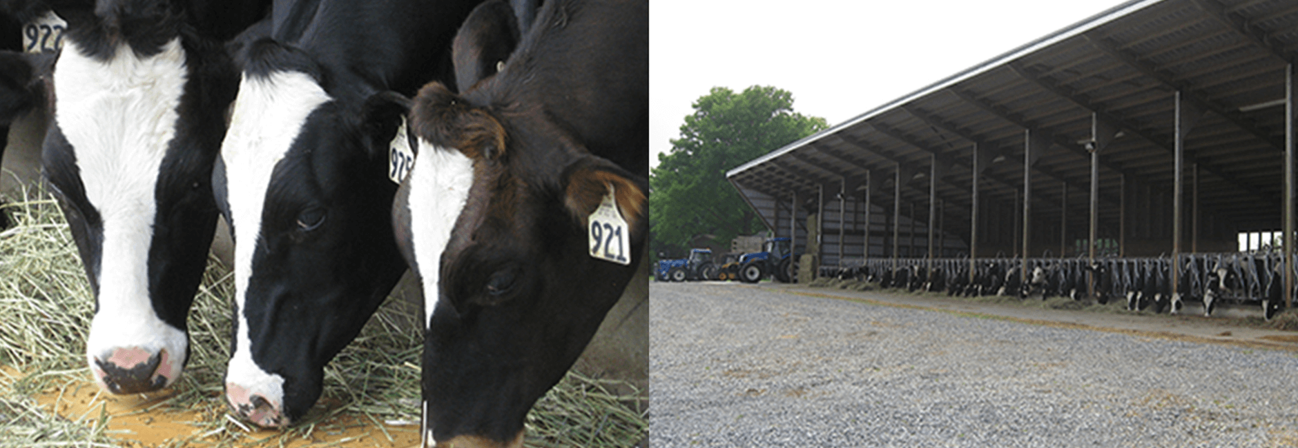 Used Tractors & Farm Equipment in Lebanon PA | Burkholder Tractor ...